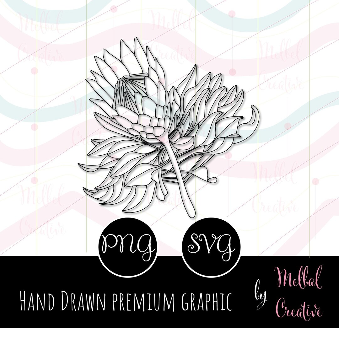 Protea Stencil Flower Stem Cut File SVG PNG Digital File - Etsy Australia
