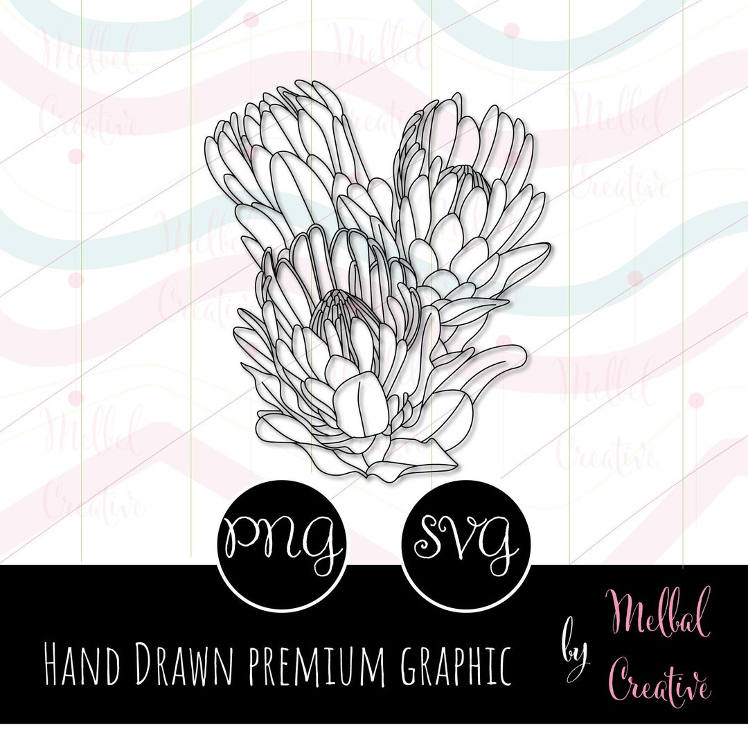 Stencil Cut File Protea Flower SVG, PNG Digital File Vector Graphic ...