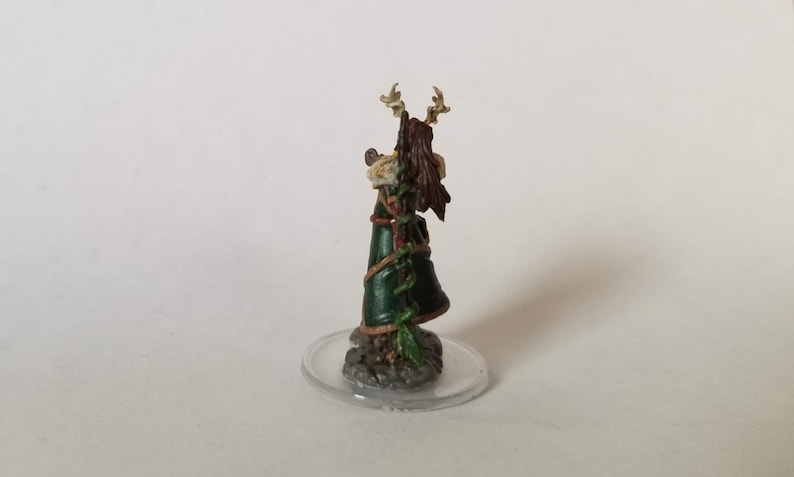 Female Human Druid Hand-painted D&D Miniature - Etsy