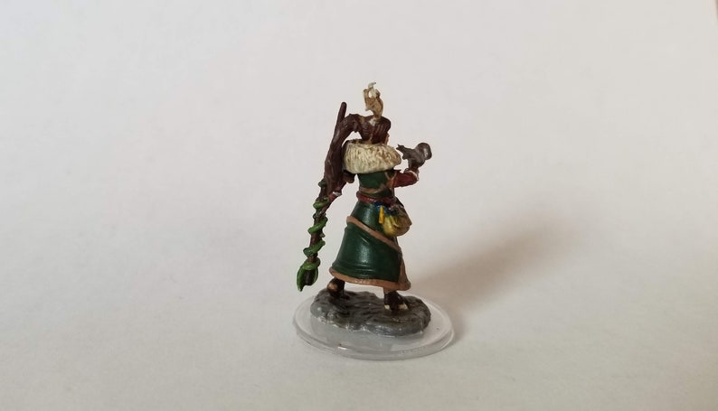 Female Human Druid Hand-painted D&D Miniature - Etsy