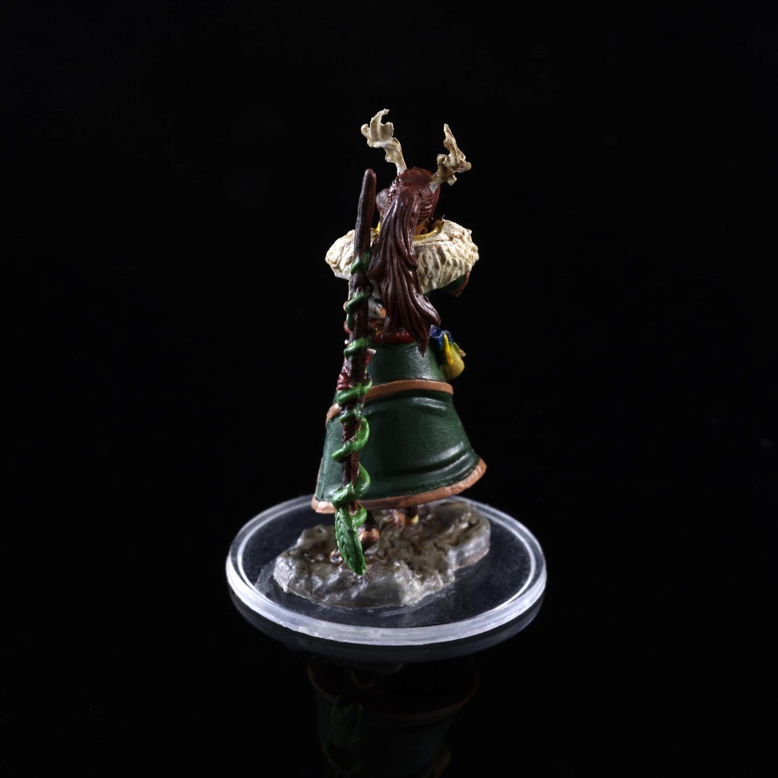 Female Human Druid - Hand-painted D&D Miniature - Etsy