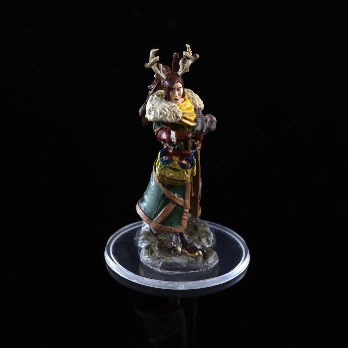 Female Human Druid - Hand-painted D&D Miniature - Etsy