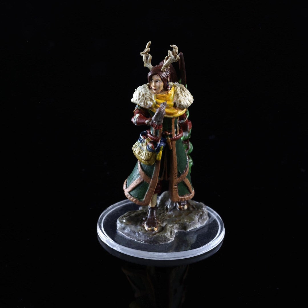 Female Human Druid - Hand-painted D&D Miniature - Etsy