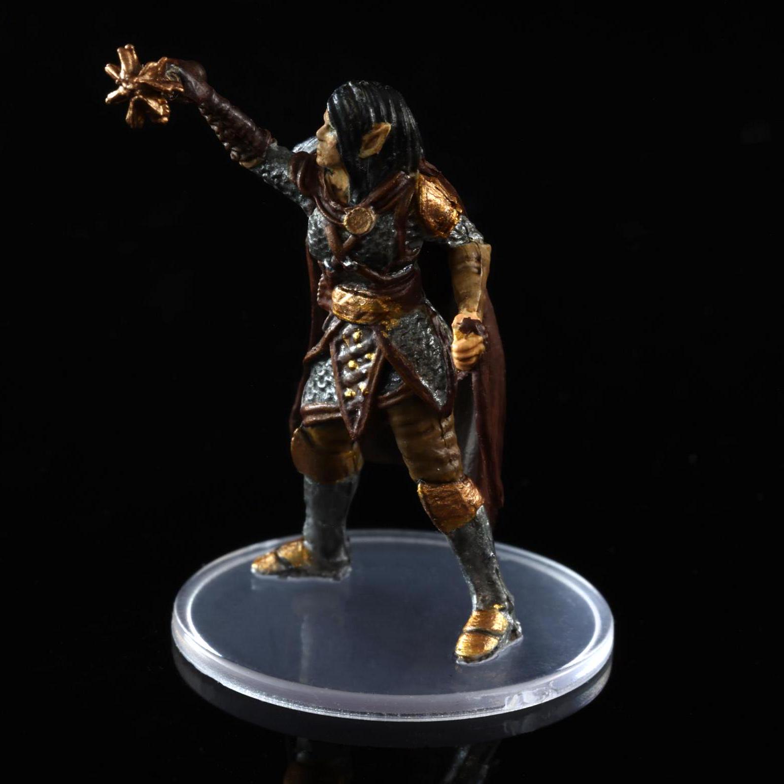Female Elf Cleric Paladin Hand-painted D&D Miniature - Etsy
