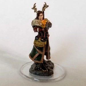 Female Human Druid Hand-painted D&D Miniature - Etsy
