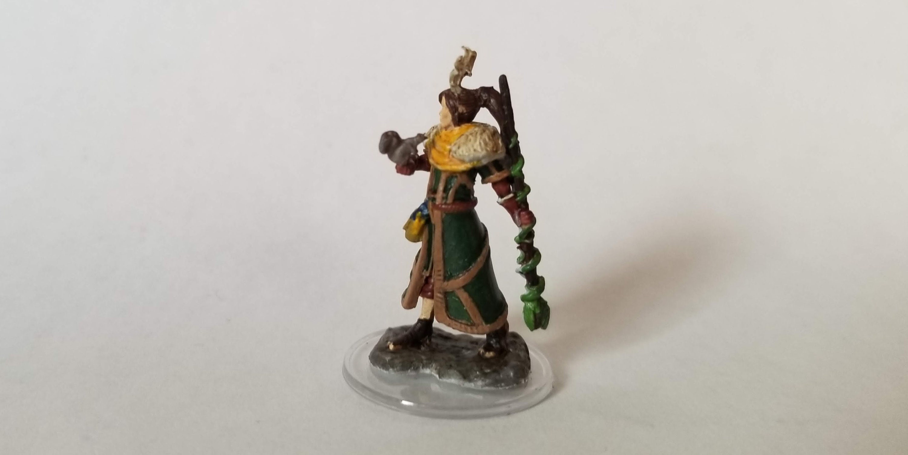 Female Human Druid Hand-painted D&D Miniature - Etsy