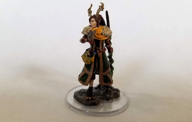 Female Human Druid Hand-painted D&D Miniature - Etsy