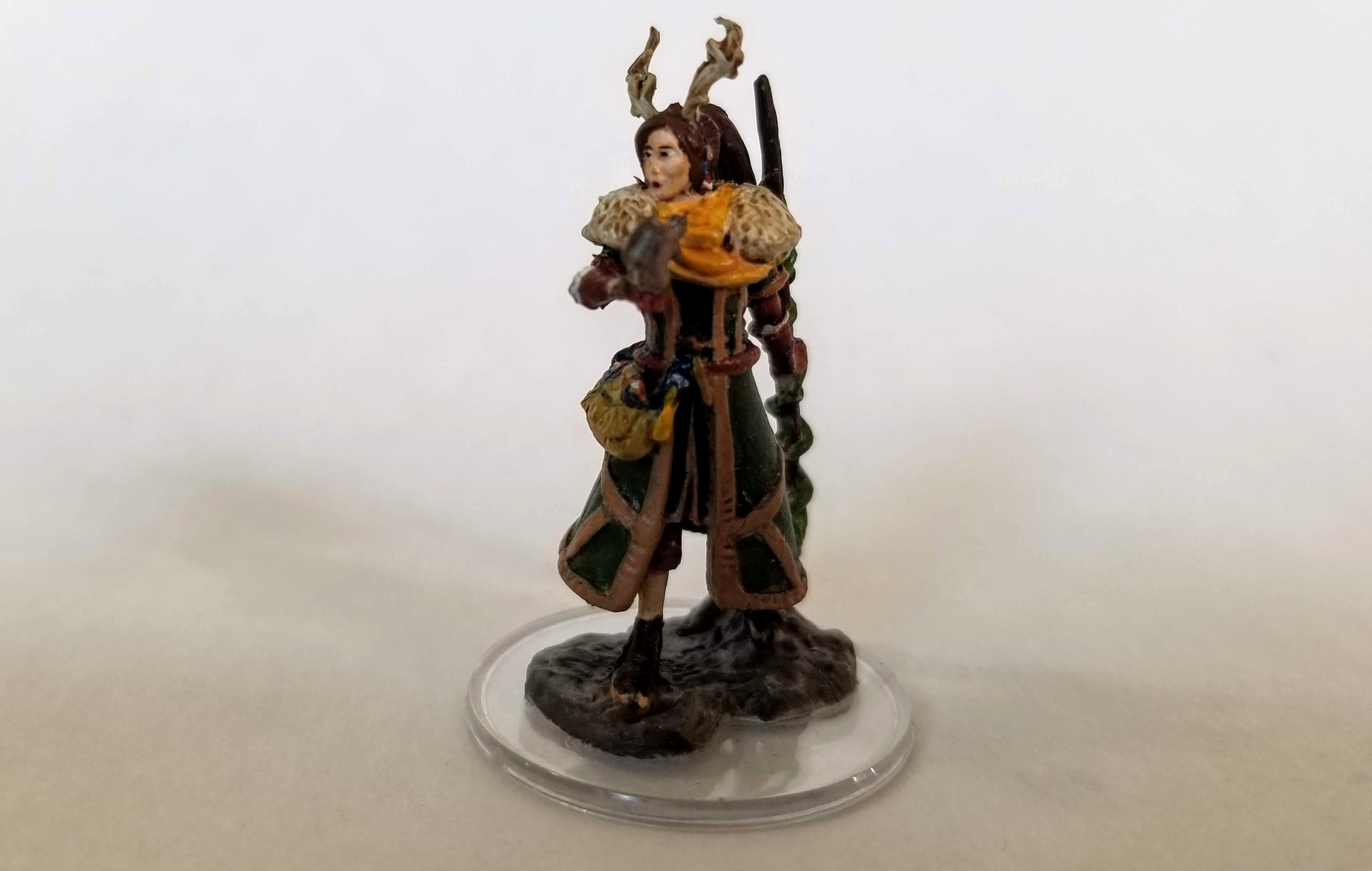 Female Human Druid Hand-painted D&D Miniature - Etsy