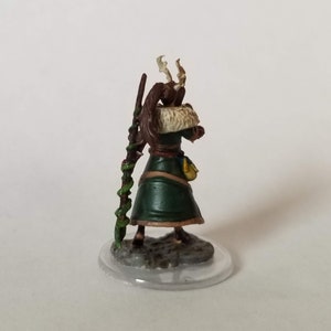 Female Human Druid Hand-painted D&D Miniature - Etsy
