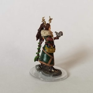 Female Human Druid Hand-painted D&D Miniature - Etsy