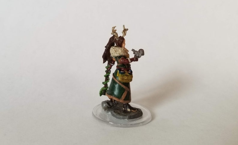 Female Human Druid Hand-painted D&D Miniature - Etsy
