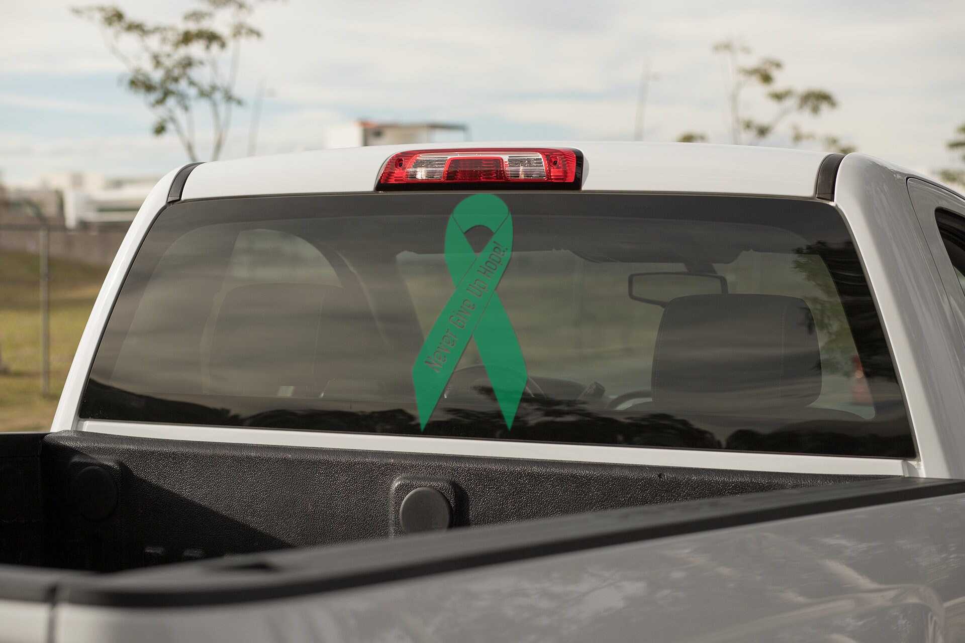 Liver Cancer Awareness Decal, Car Decal, Truck Decal, Laptop Decal ...