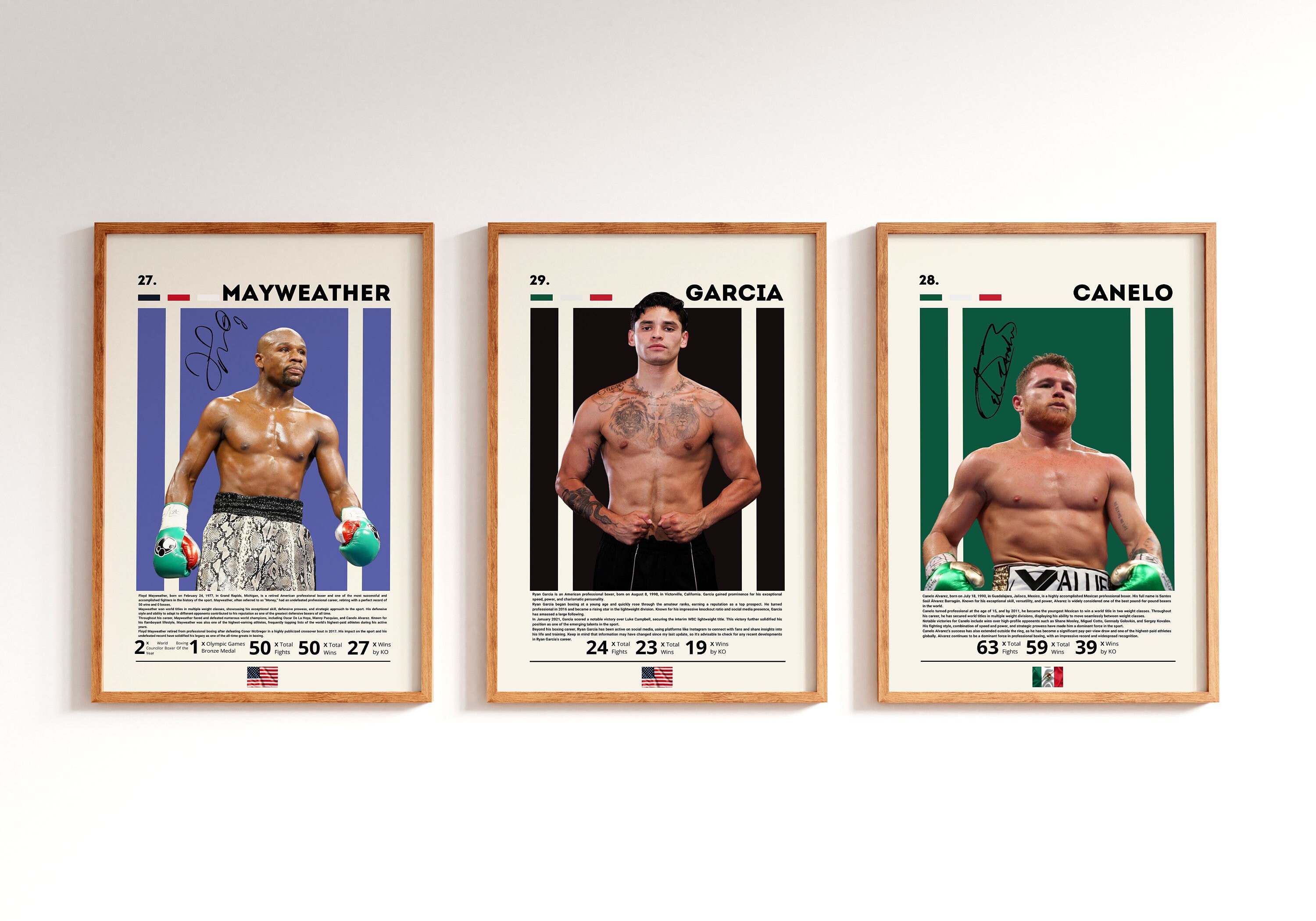 Canelo Alvarez Vs Floyd Mayweather Poster