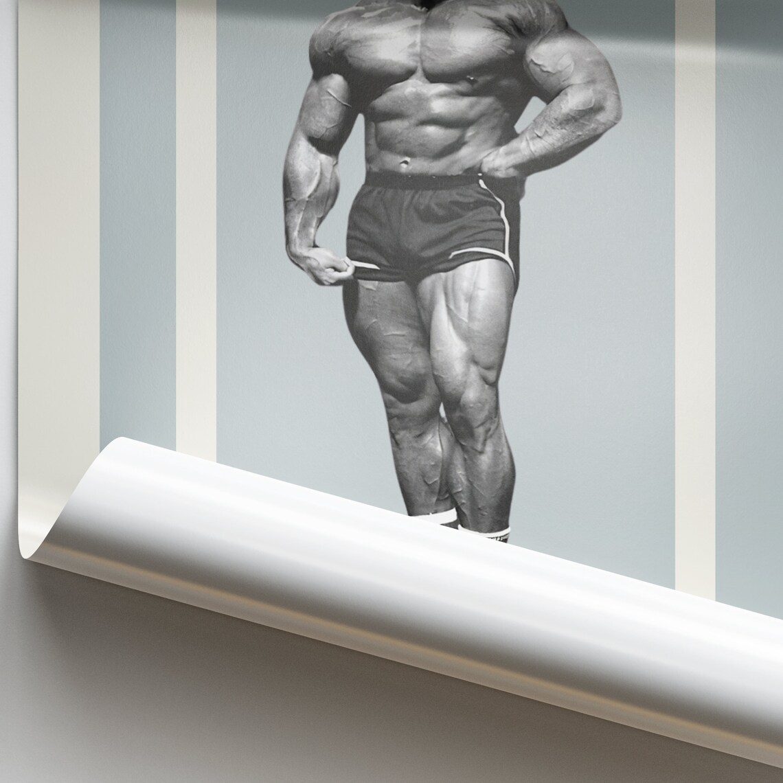 Mike Mentzer Poster, Bodybuilding Poster, Sports Poster, Motivational ...