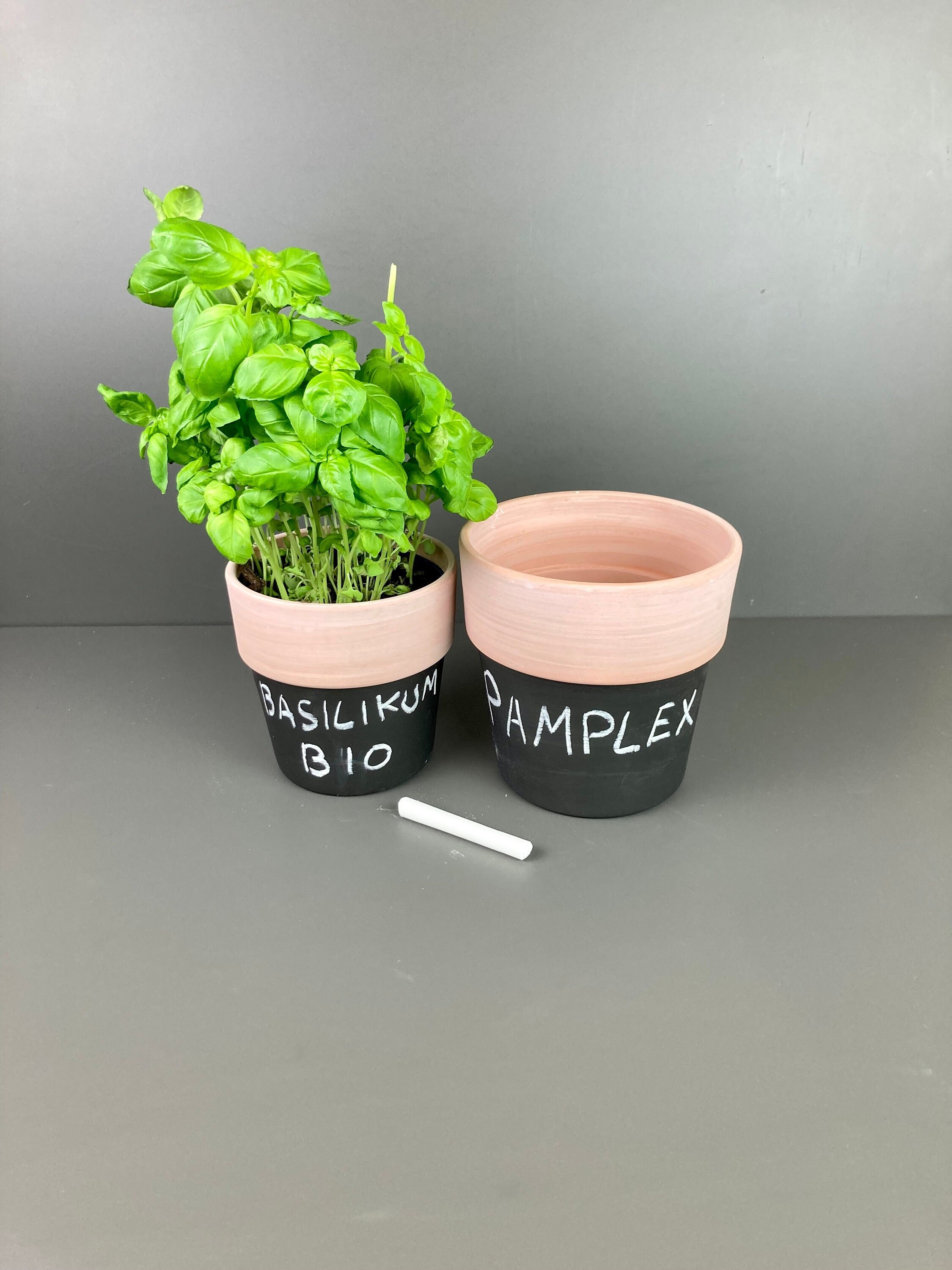 Home & Hobby black lacquer for labeling plant planter 2 sizes Creative ...