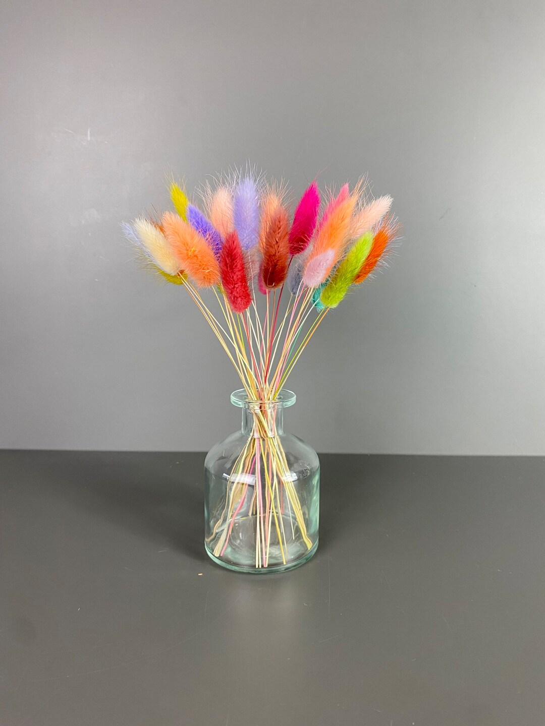 Dried Flowers Lagurus With Vase, Rainbow Lagurus Mix, Dried Flowers Set ...