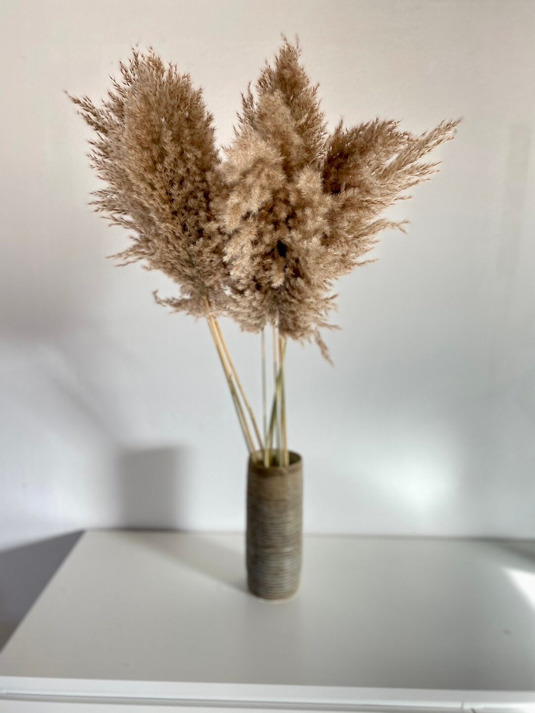 Dried Pampas Grass fluffy Dried Grasses Dried Flower for Boho ...