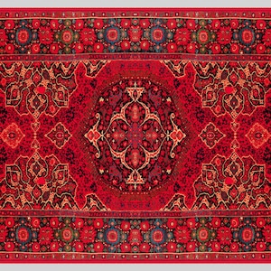 Red Turkish Rug, Oriental Bohemian Rug, Livingroom Bedroom Dining Room ...