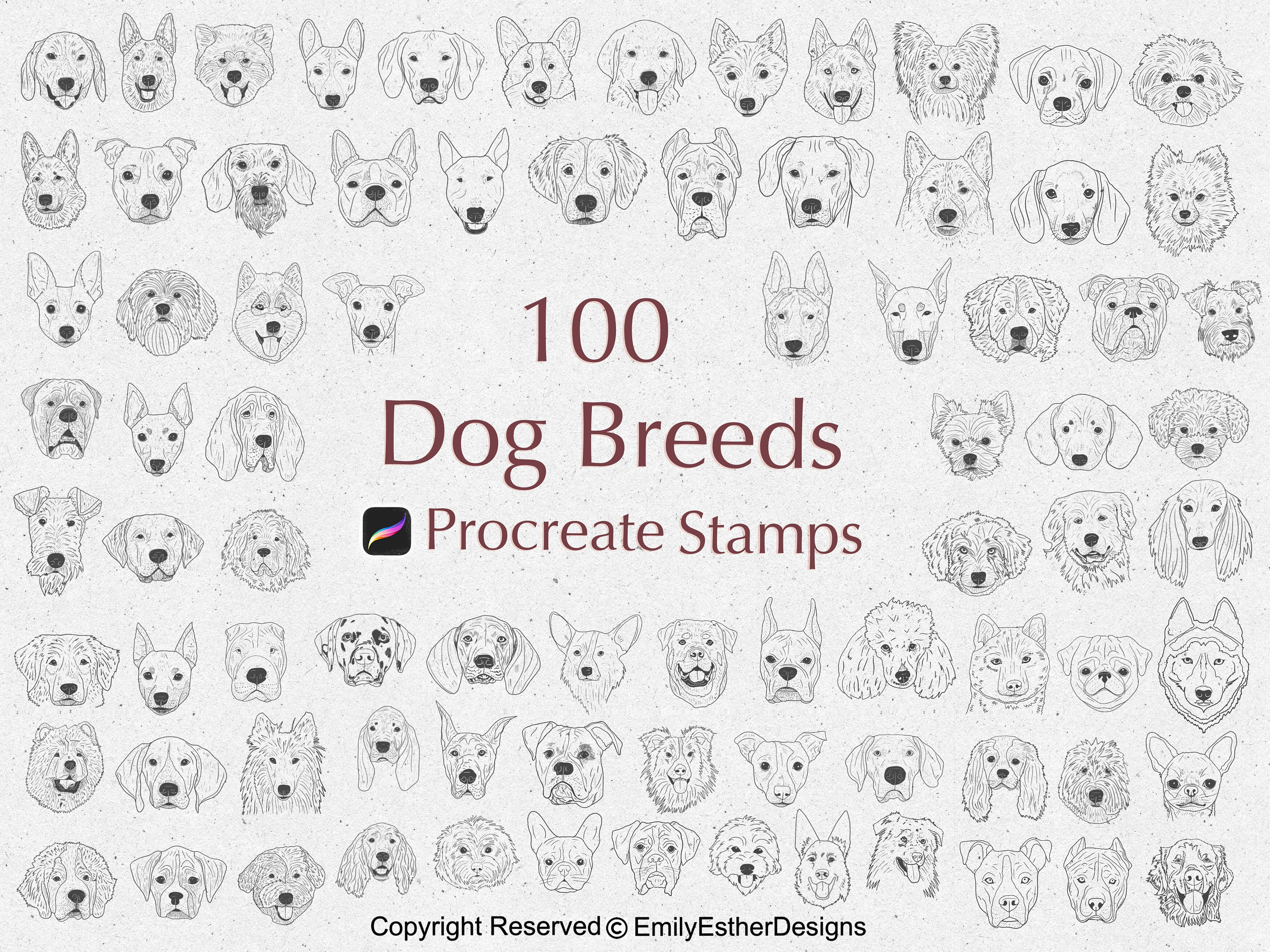 100 Dog Breeds Line Drawing Procreate Stamps Dog Stamps Dog | Etsy