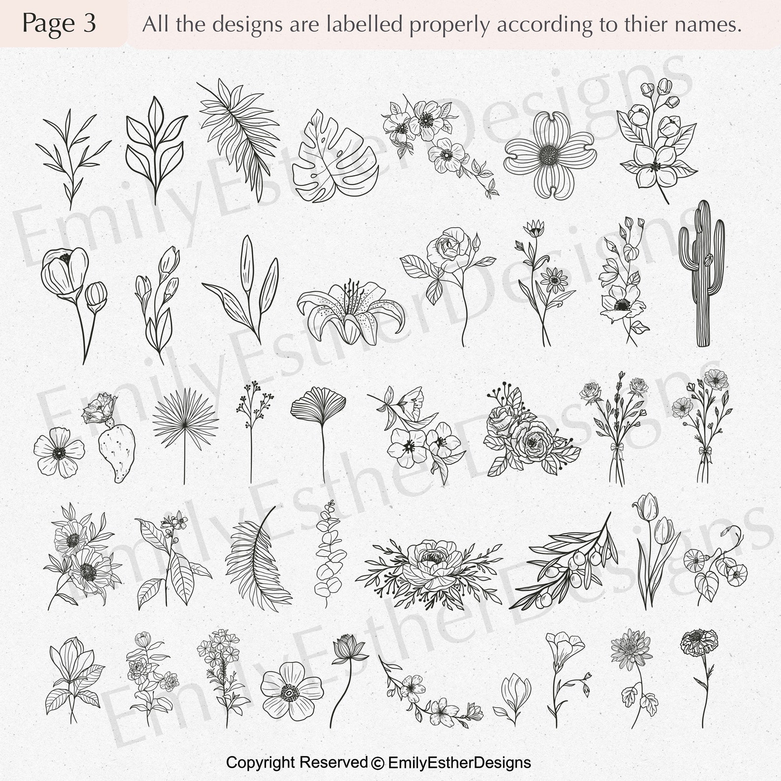 200 Botanical Svg Bundle Floral Svg flower Svg botanical | Etsy India