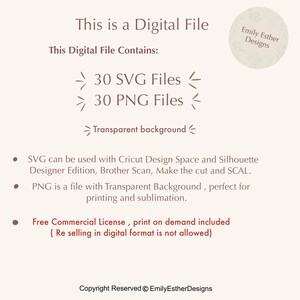 30 Border and Branches SVG & PNG Bundle - Etsy