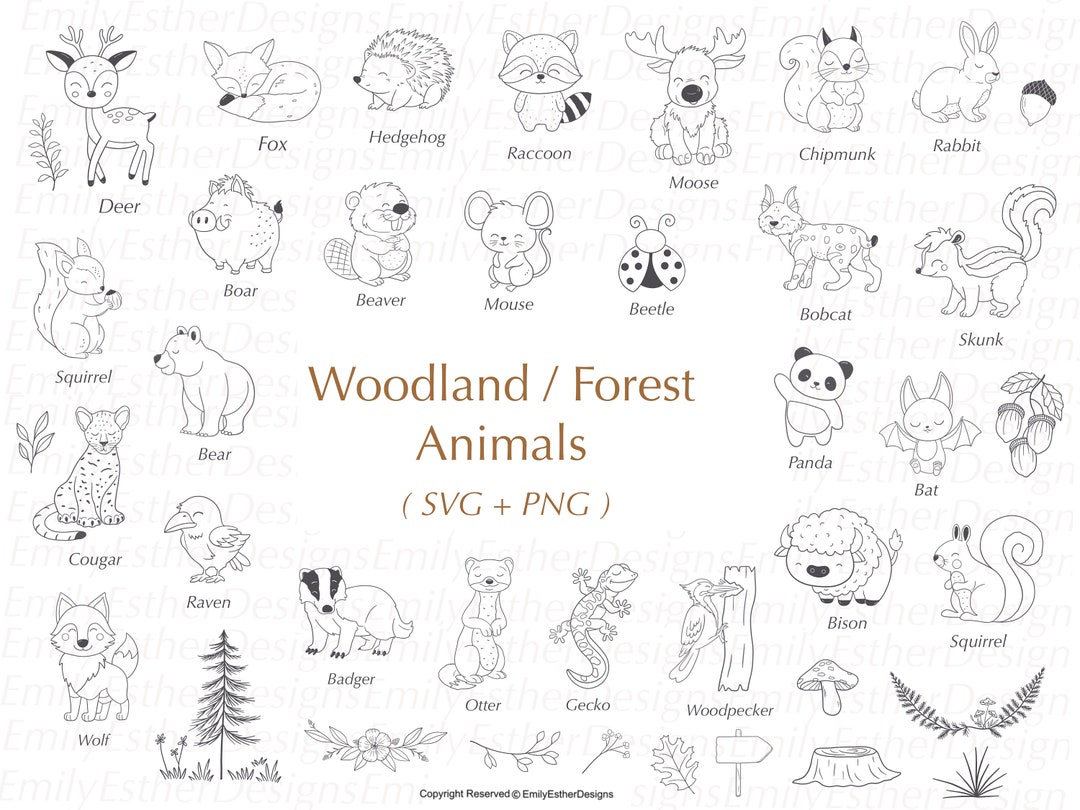 Woodland Animal Svg Bundle | Animal Svg | Doodle Svg | Safari Animal ...