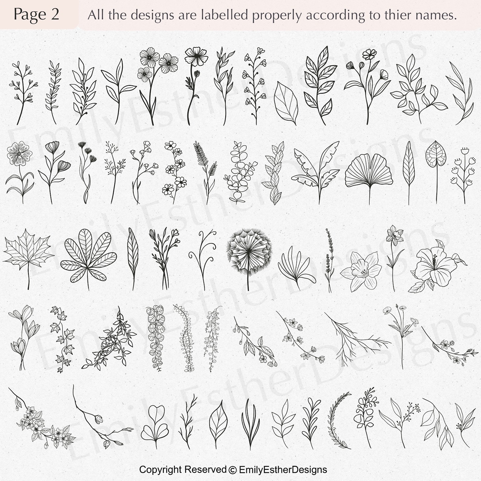 200 Botanical Svg Bundle Floral Svg flower Svg botanical | Etsy India