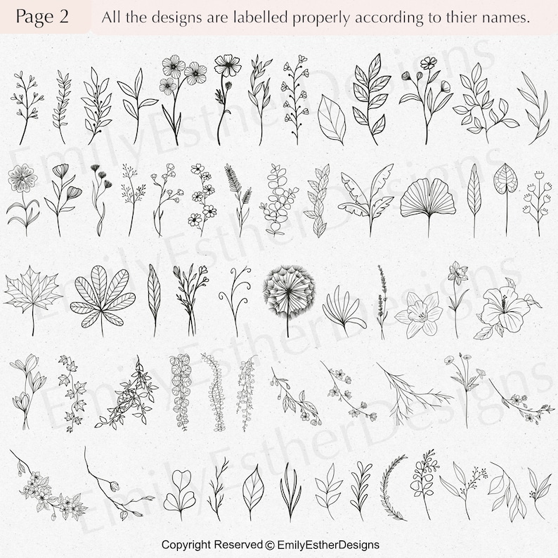 200 Botanical Svg Bundle Floral Svg flower Svg botanical | Etsy India