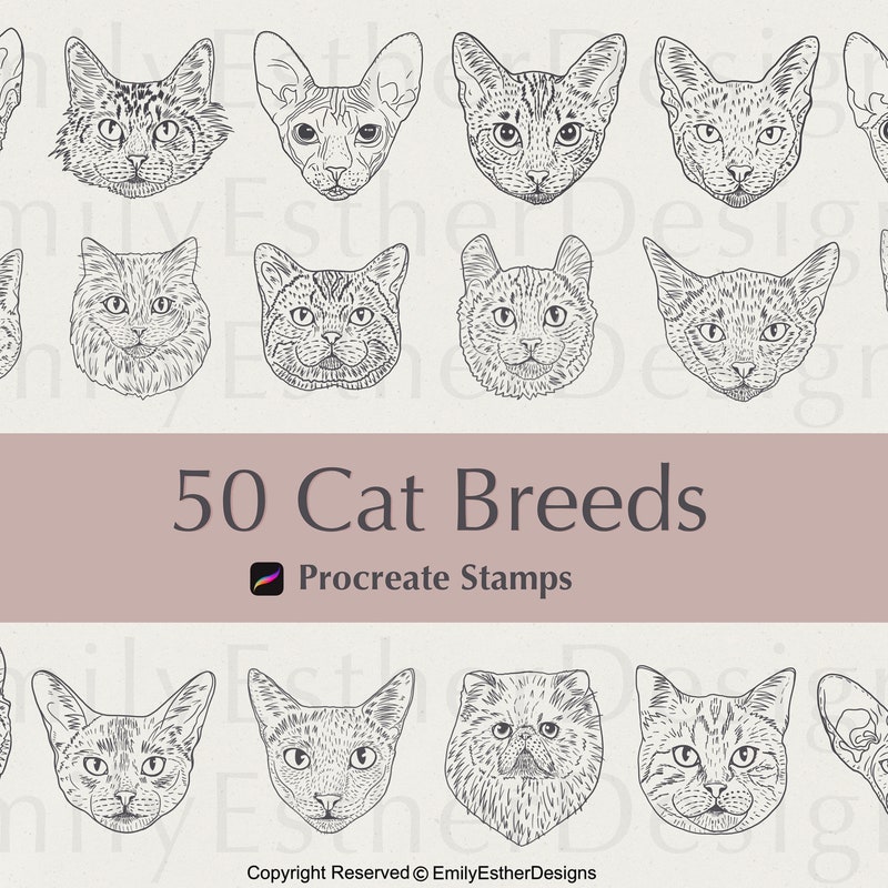 Cat Stamp - Etsy