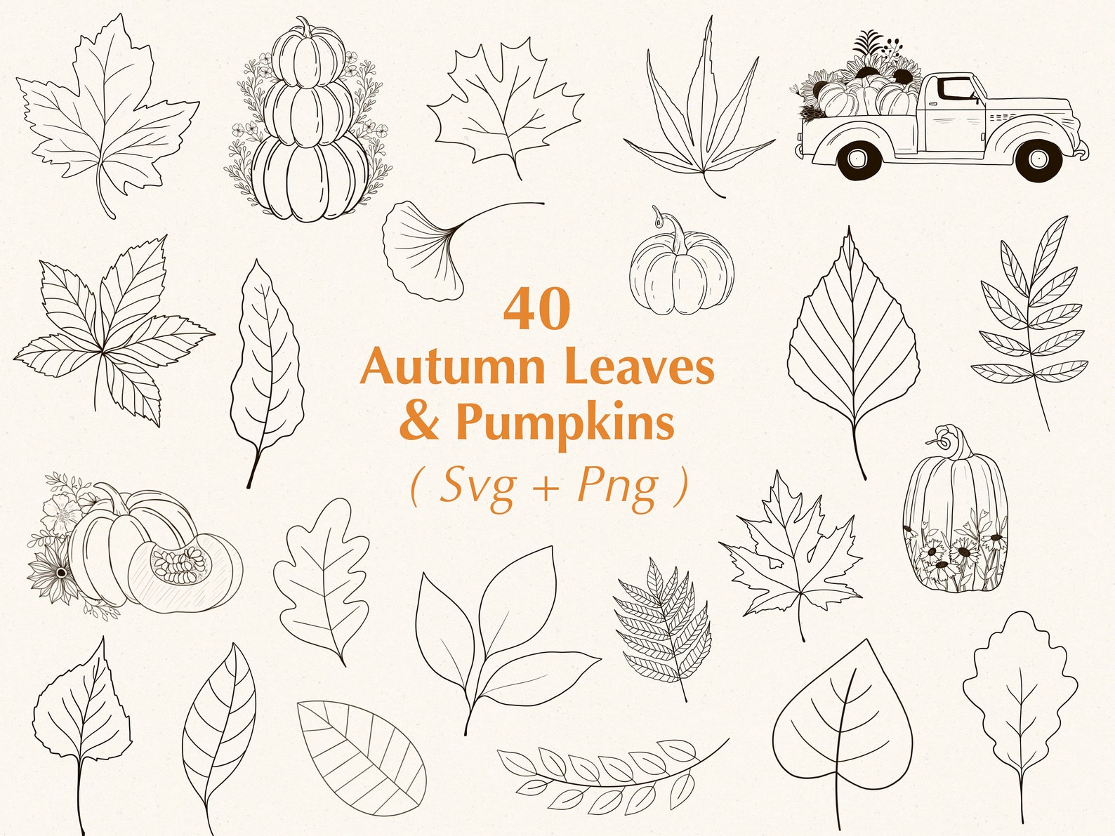 Autumn Svg Bundle Fall Svg Leaves Svg Pumpkin Svg Svg - Etsy