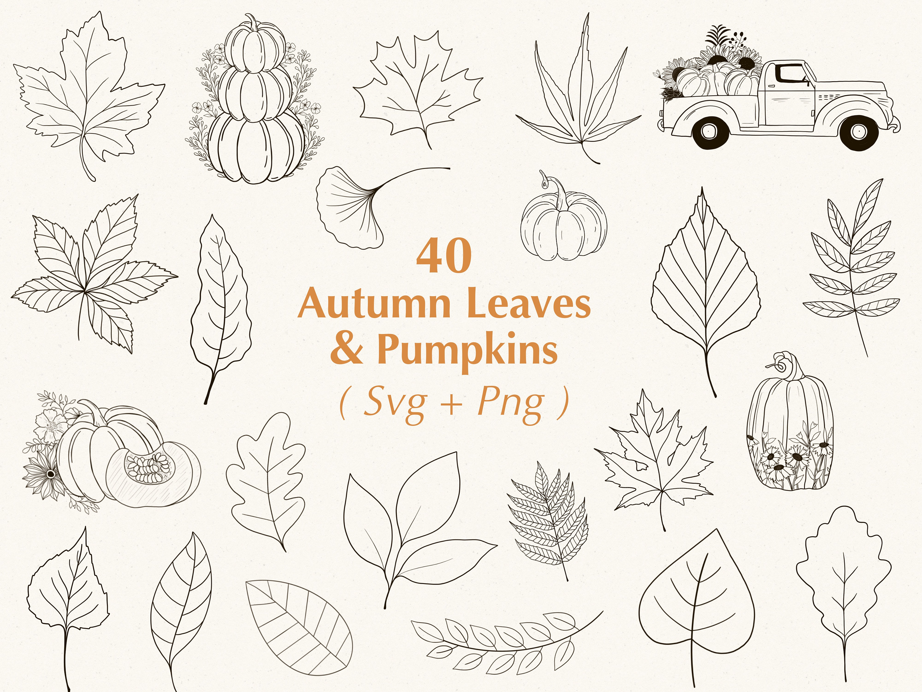 Autumn Svg Bundle Fall Svg Leaves Svg Pumpkin Svg Svg - Etsy