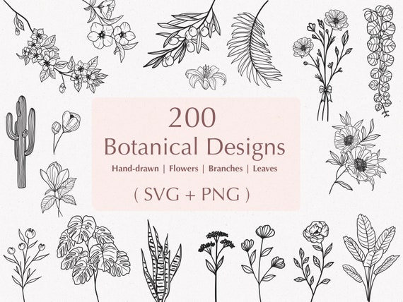 200 Botanical Svg Bundle Floral Svg flower Svg botanical | Etsy India