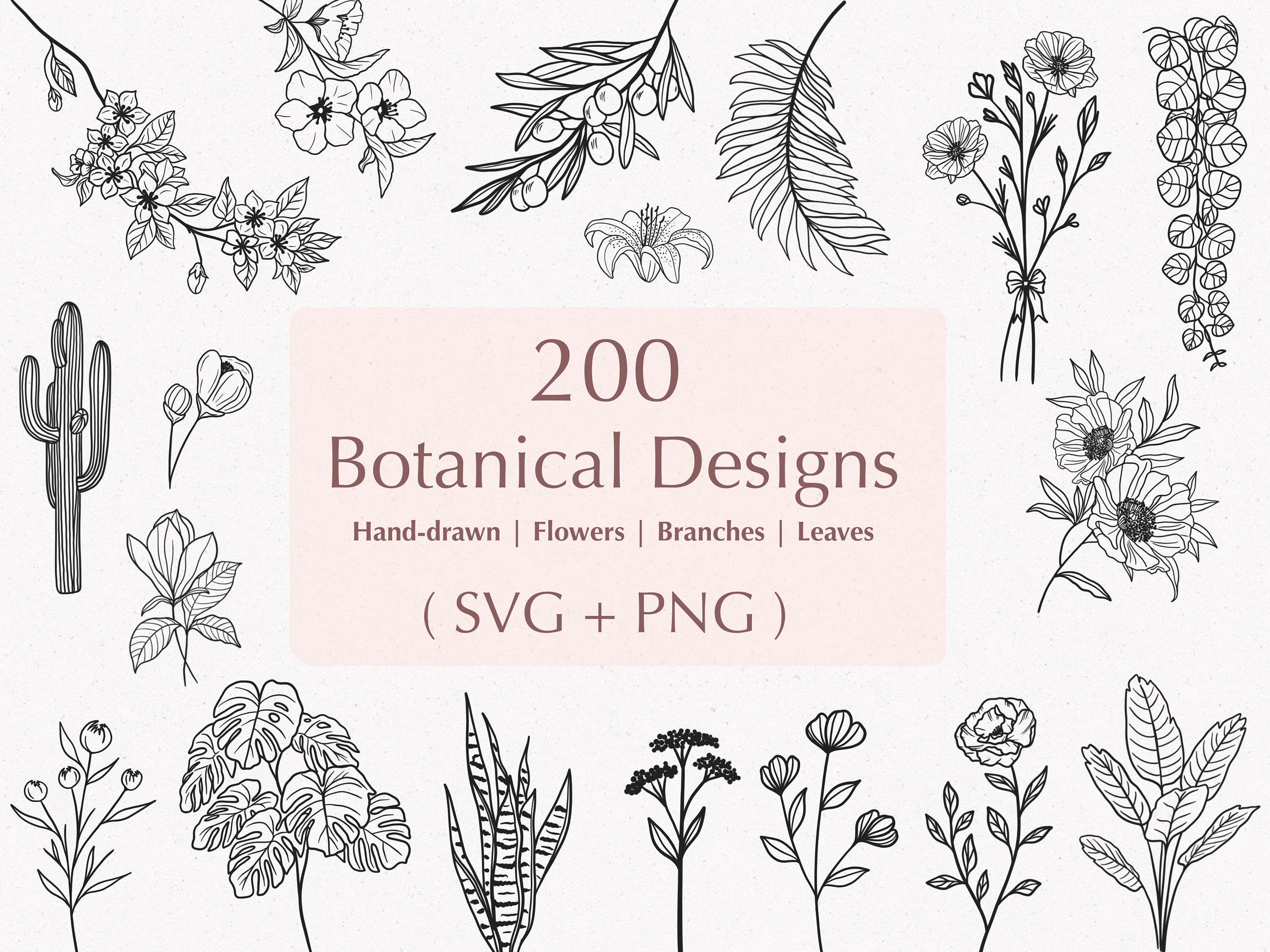 200 Botanical Svg Bundle Floral Svg flower Svg botanical | Etsy India