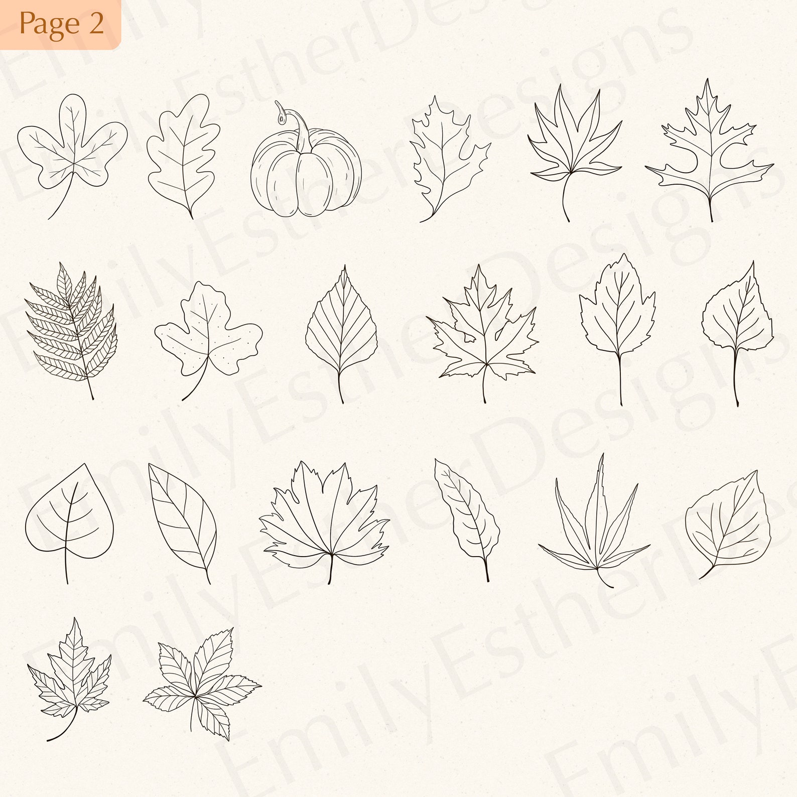 Autumn Svg Bundle Fall Svg Leaves Svg Pumpkin Svg Svg - Etsy