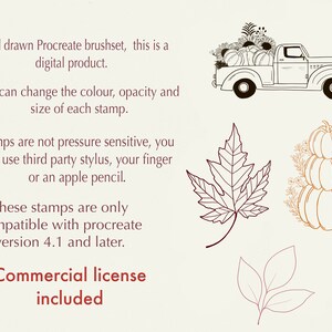 40 Fall / Autumn Procreate Stamps Procreate Autumn Leaves Procreate ...