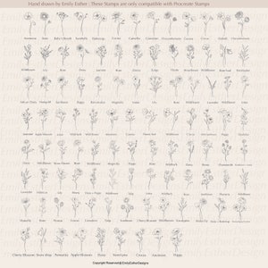 Procreate Floral Stamps, Procreate Stamps, Flower Bouquets, Procreate ...