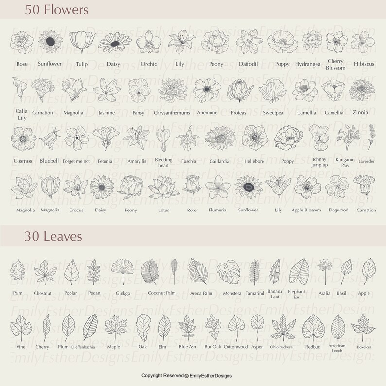 Procreate Flower Stamp Brush Set: Botanical Floral Bundle - Etsy
