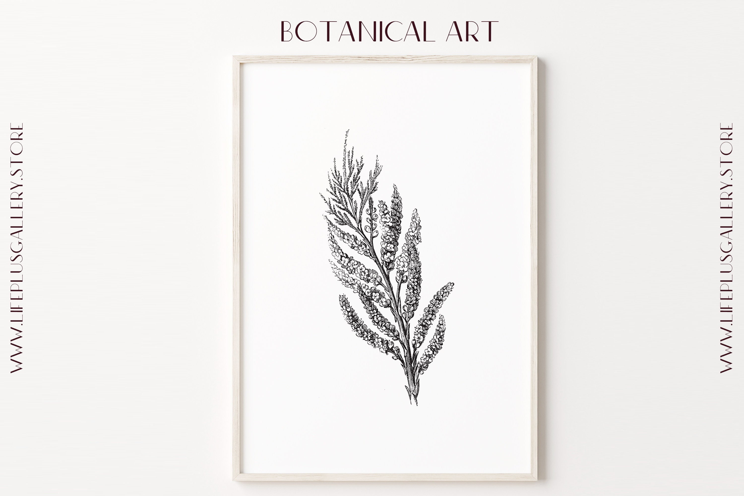 Rustic Drawing Art Plant Drawing Botanical Wall Art Vintage - Etsy