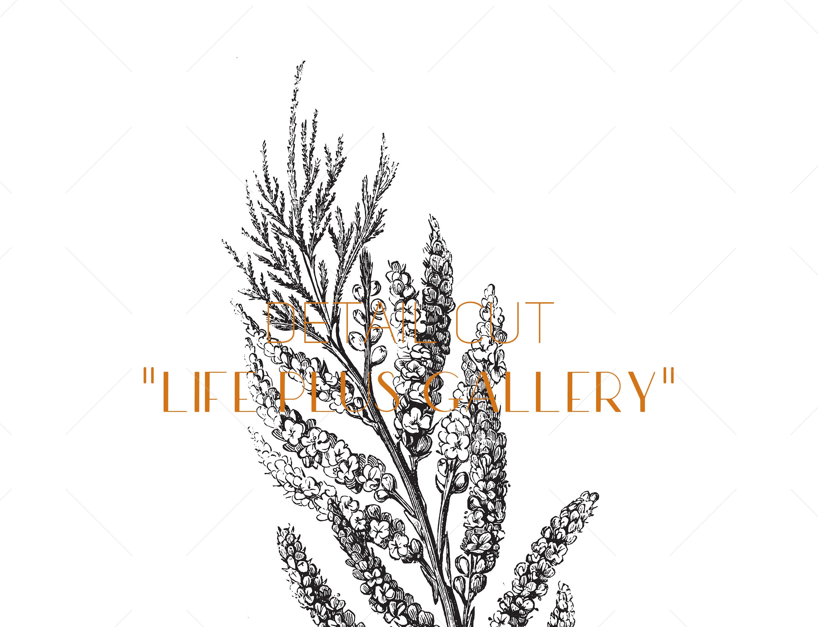 Rustic Drawing Art Plant Drawing Botanical Wall Art Vintage - Etsy