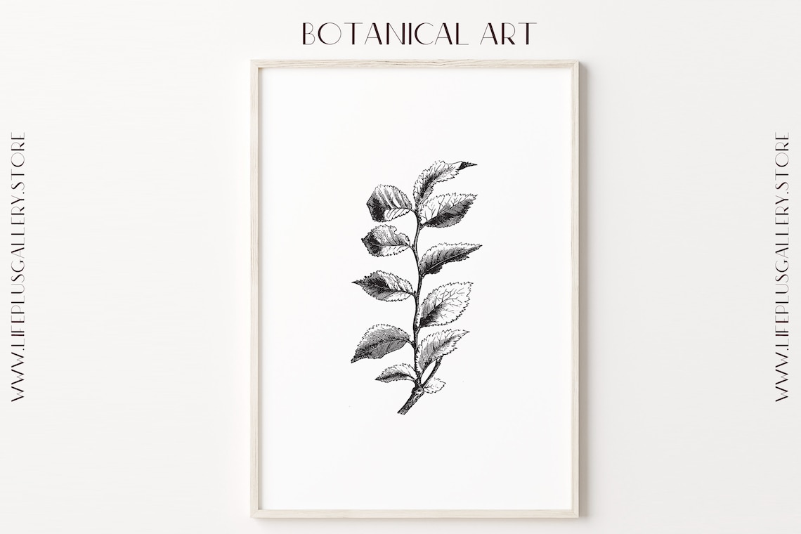 Rustic Drawing Art Plant Drawing Botanical Wall Art Vintage - Etsy