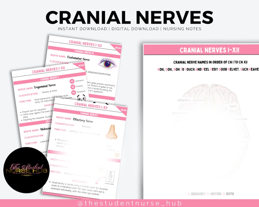CRANIAL NERVES Study Guide, Cranial Nerves Cheat Sheet, Anatomy Guide ...