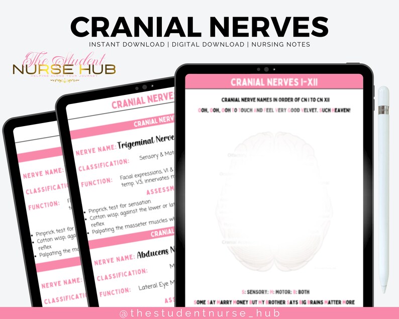 CRANIAL NERVES Study Guide, Cranial Nerves Cheat Sheet, Anatomy Guide ...