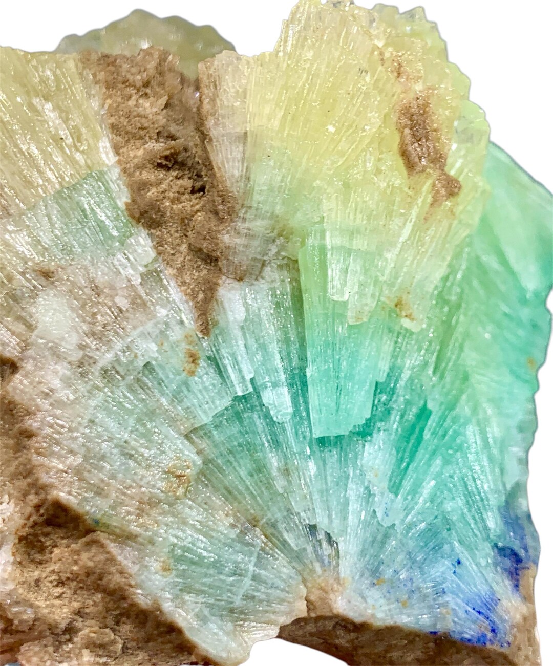 112 GM Aragonite Flower Cluster With Azurite Mineral Specimen From ...