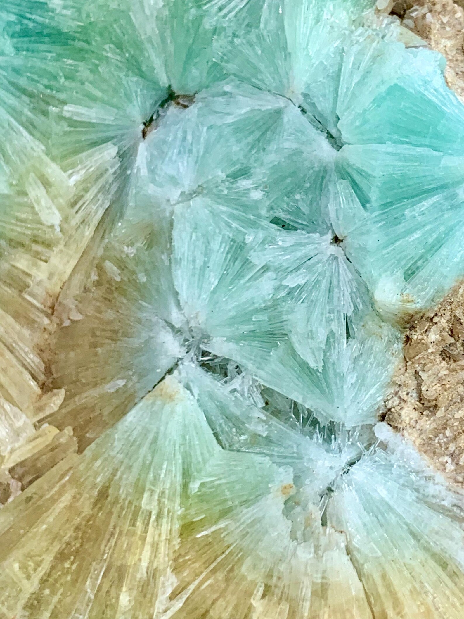 Stunning Aragonite Flower Crystal With Azurite - Unique Mineral ...