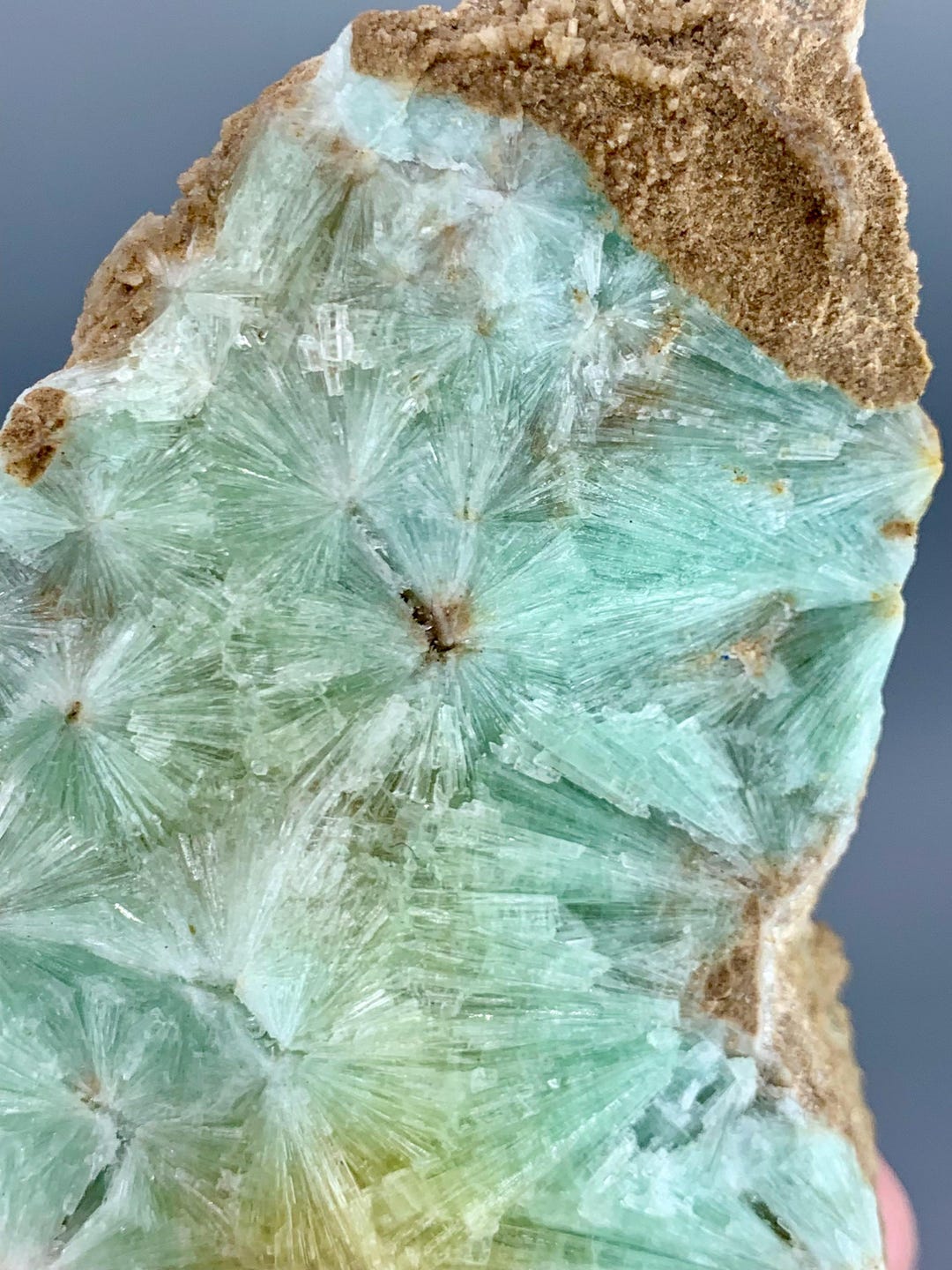 Educational Tool: Aragonite Flower Crystal With Azurite for Geology ...