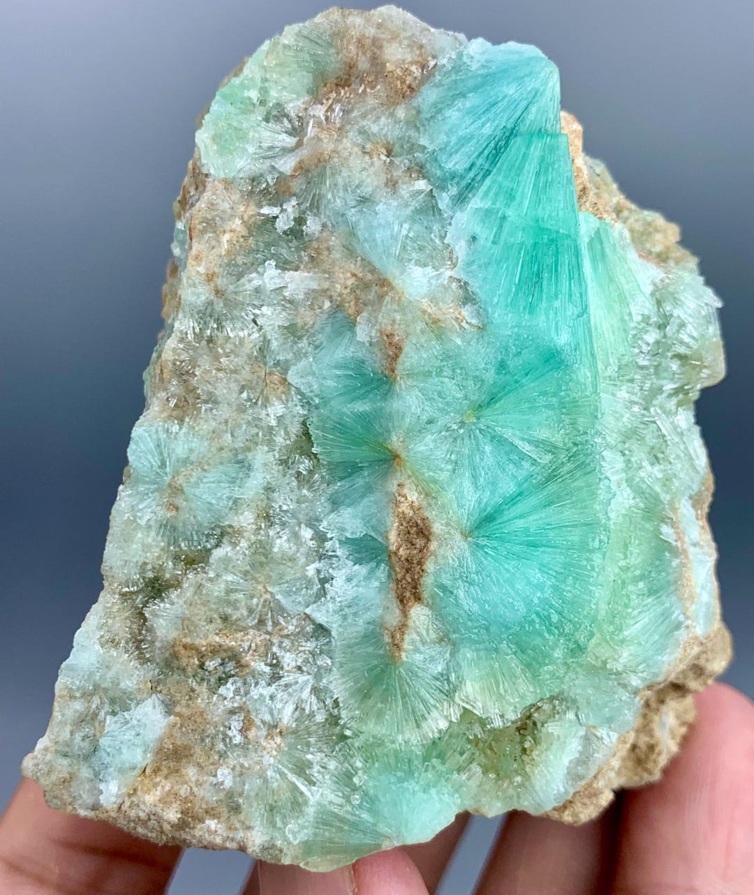 Rare Aragonite Flower Crystal Cluster With Blue Azurite - Healing Stone ...