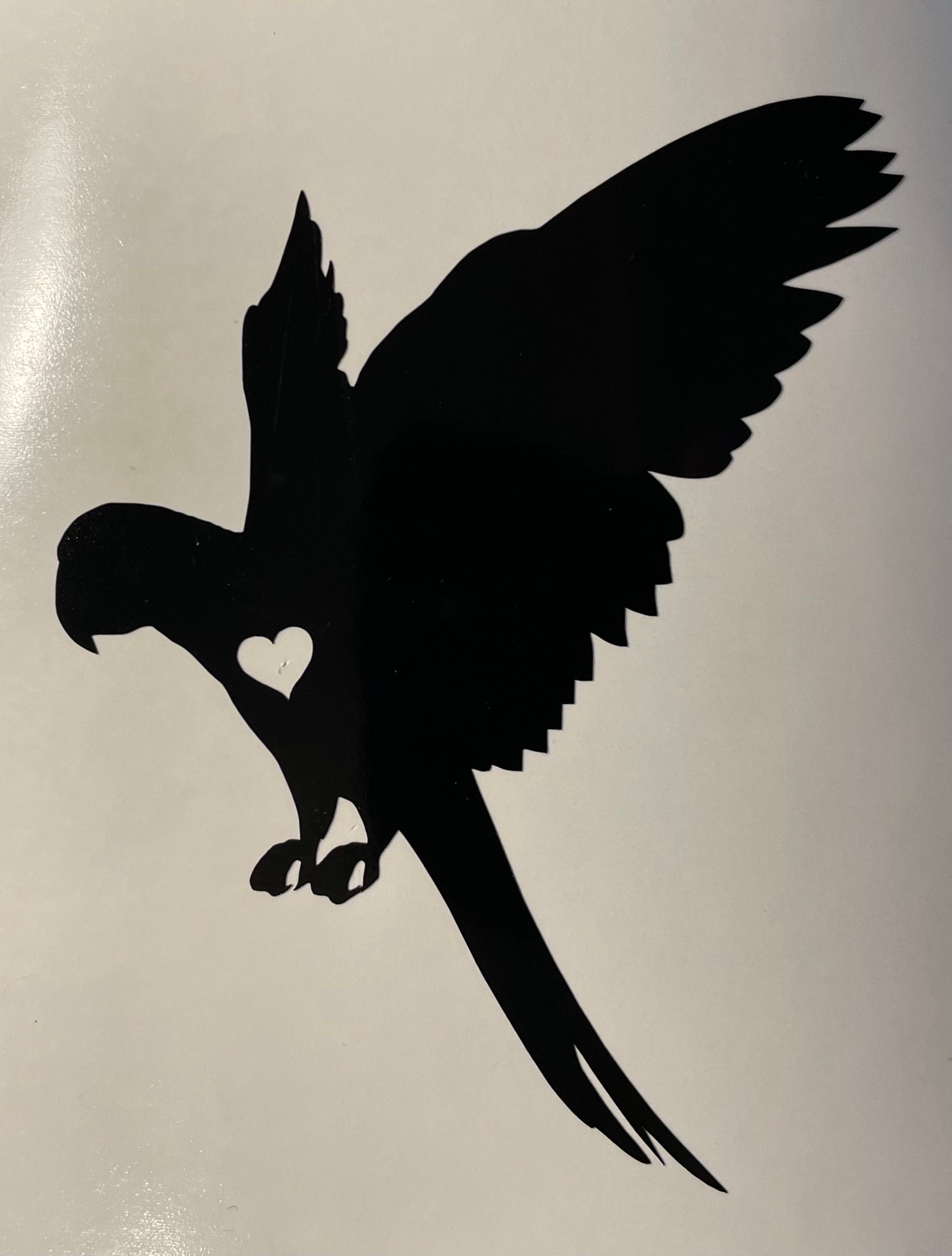 Parrot Vinyl Decal Cars Windows Walls Bumper Sticker - Etsy