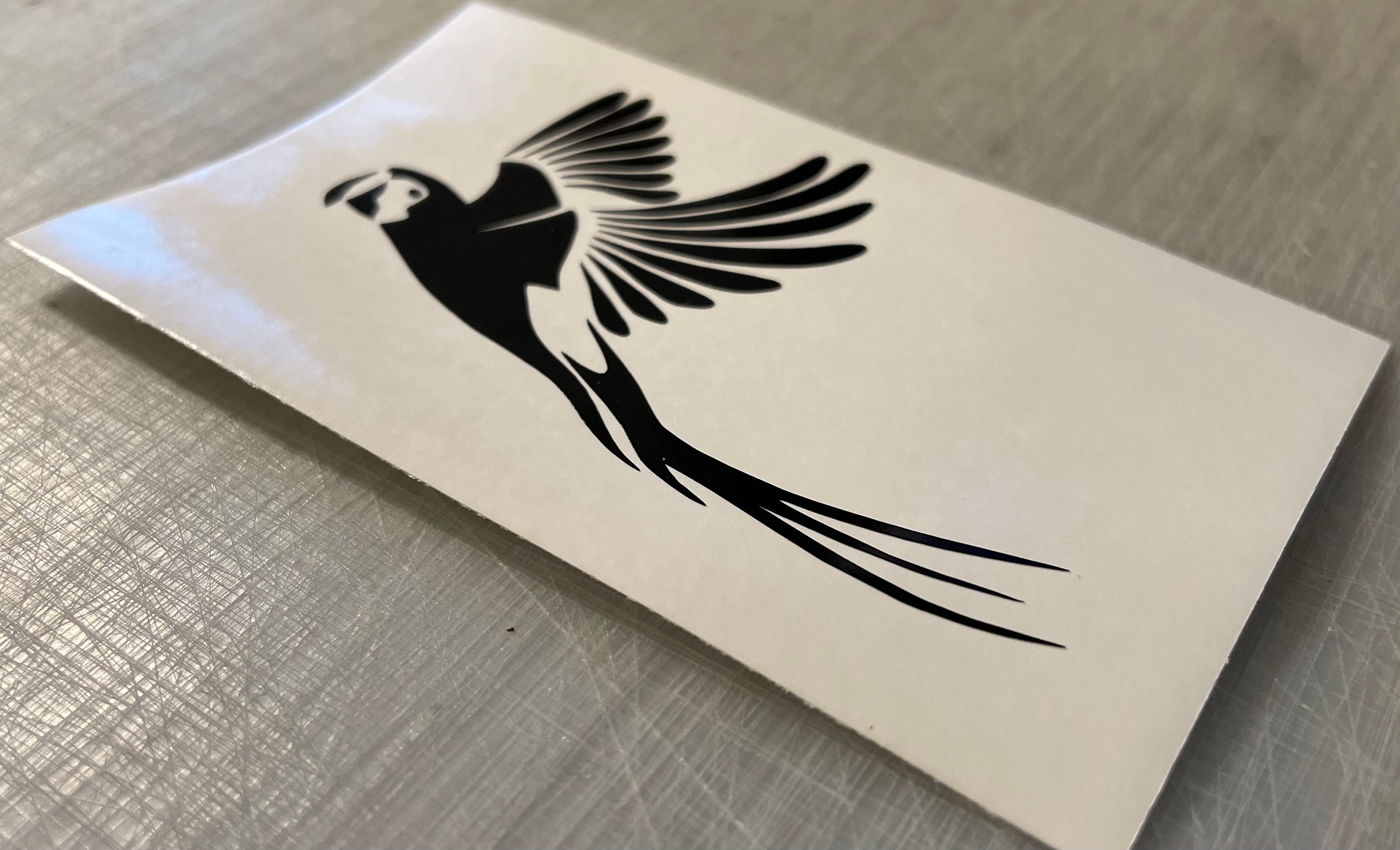 Parrot Vinyl Decal Cars Windows Walls Bumper Sticker | Etsy