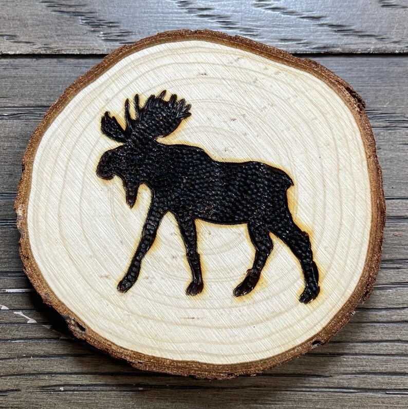 Yellowstone Bison Buffalo Elk Moose Bear Wood Burned Coasters Set of 4 ...