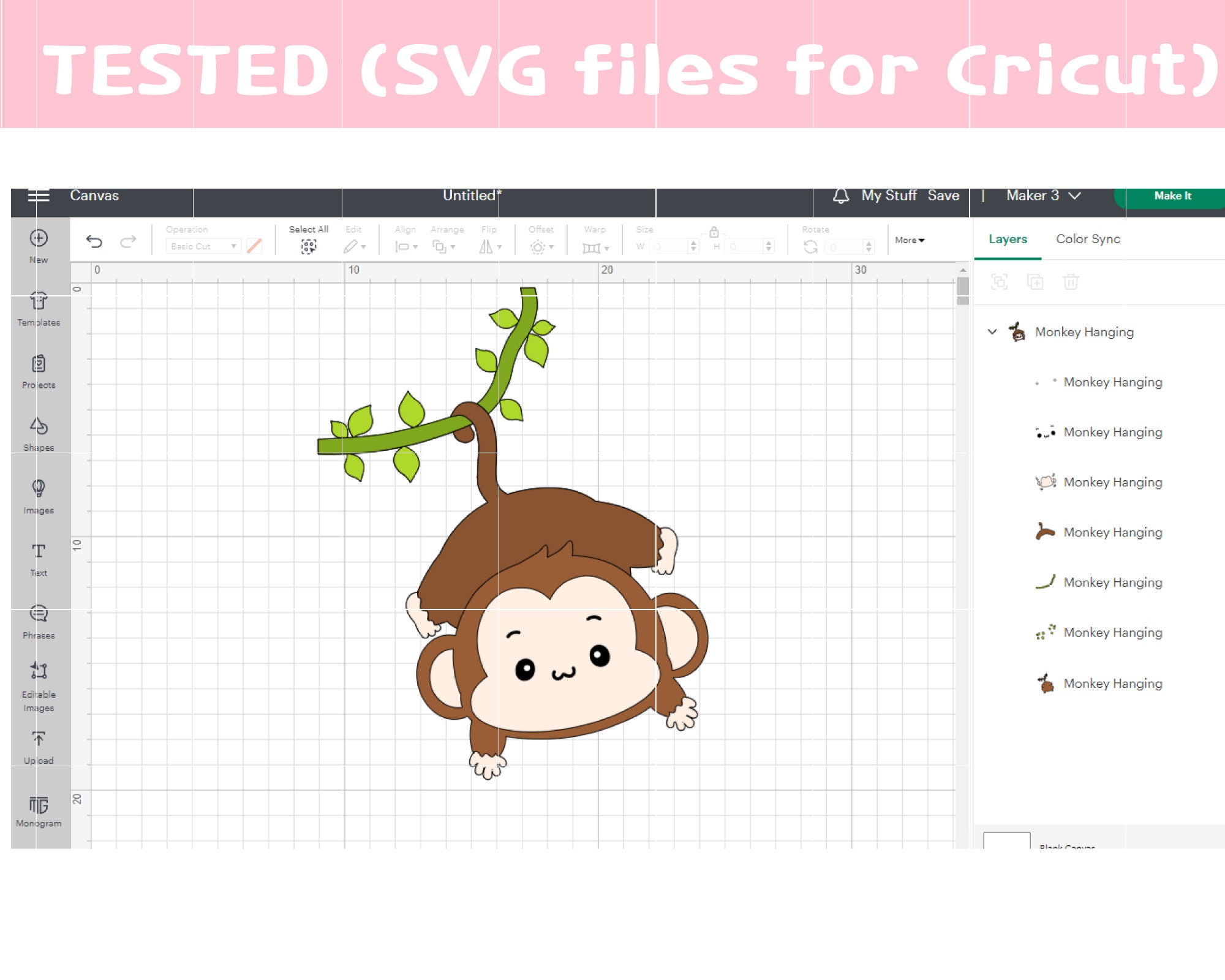 Safari Svg, Zoo Animal Svg 21 Cut Files - Etsy